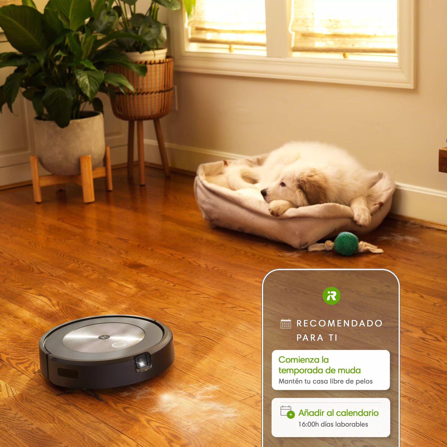 Robot aspirador Roomba® j7+ con vaciado automático | iRobot®
